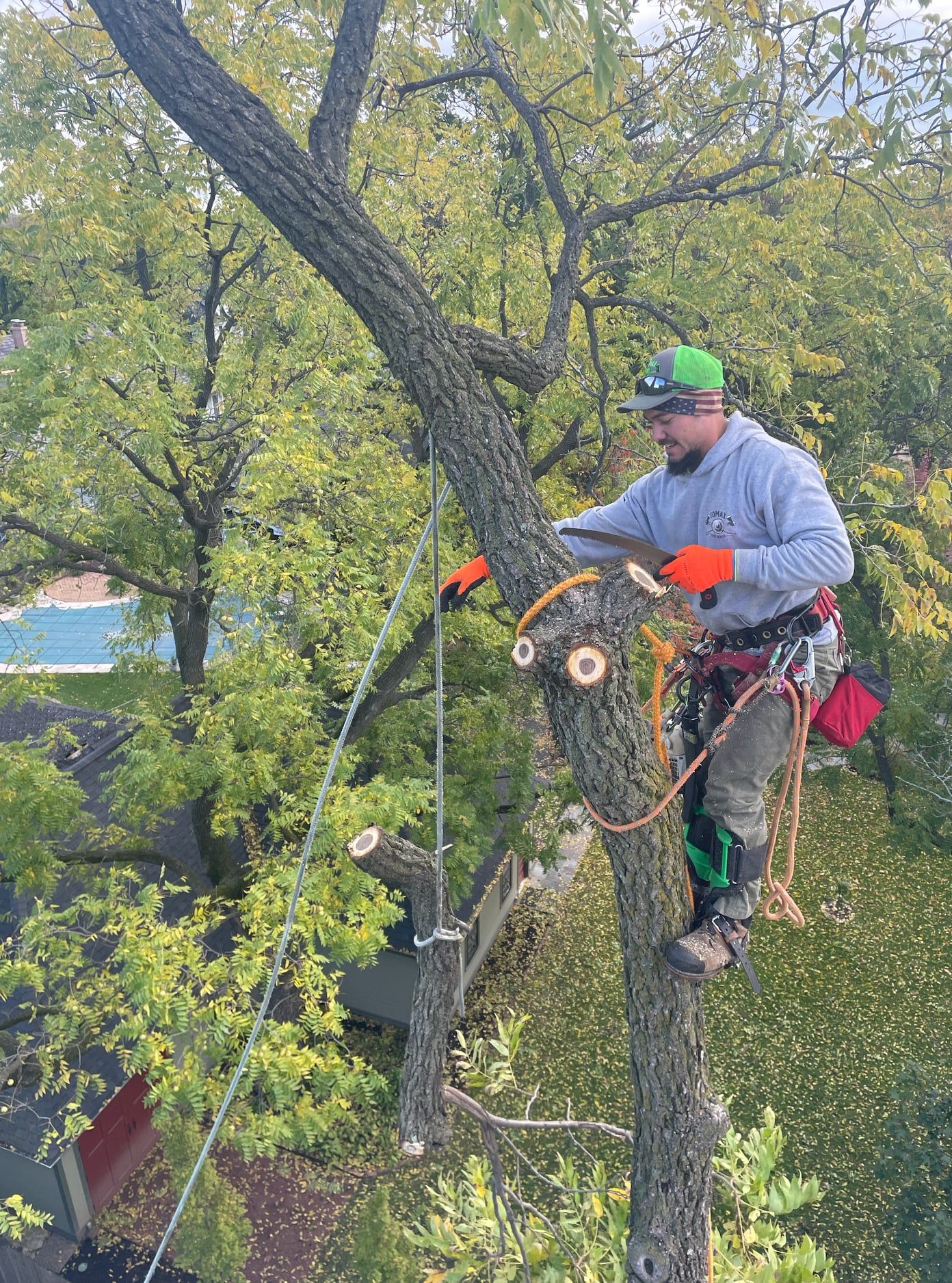 Tree Service Projects of Tomax Tree Service Service Serving Major ...