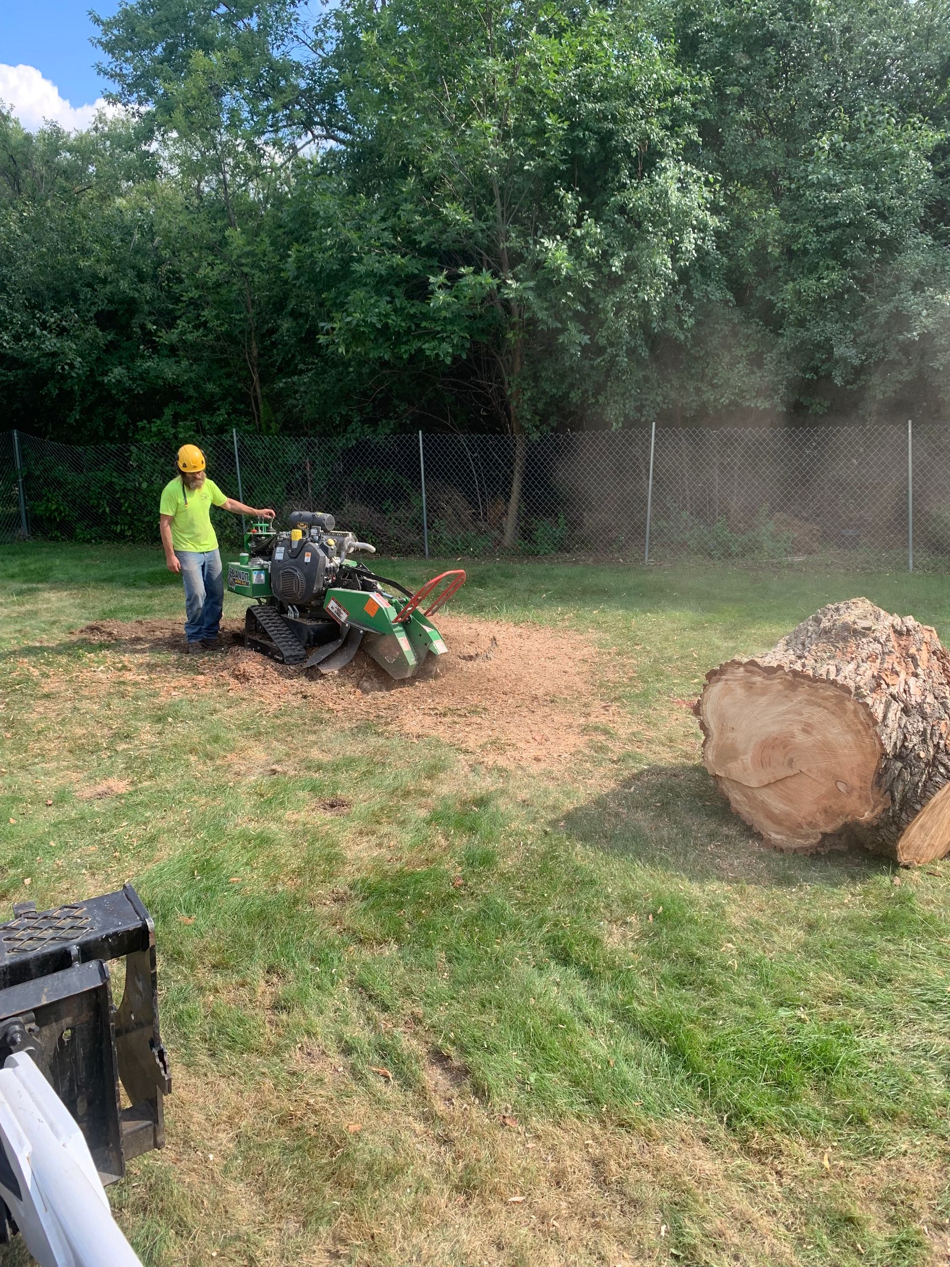 Our Tree Service Projects | Westmont, IL | Tomax Tree