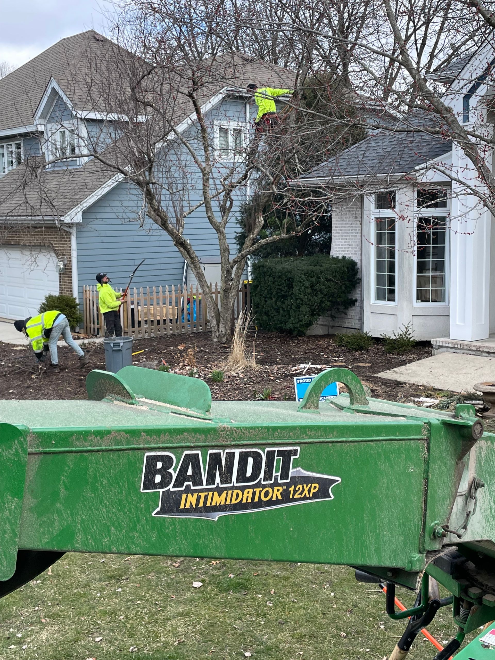Our Tree Service Projects | Westmont, IL | Tomax Tree