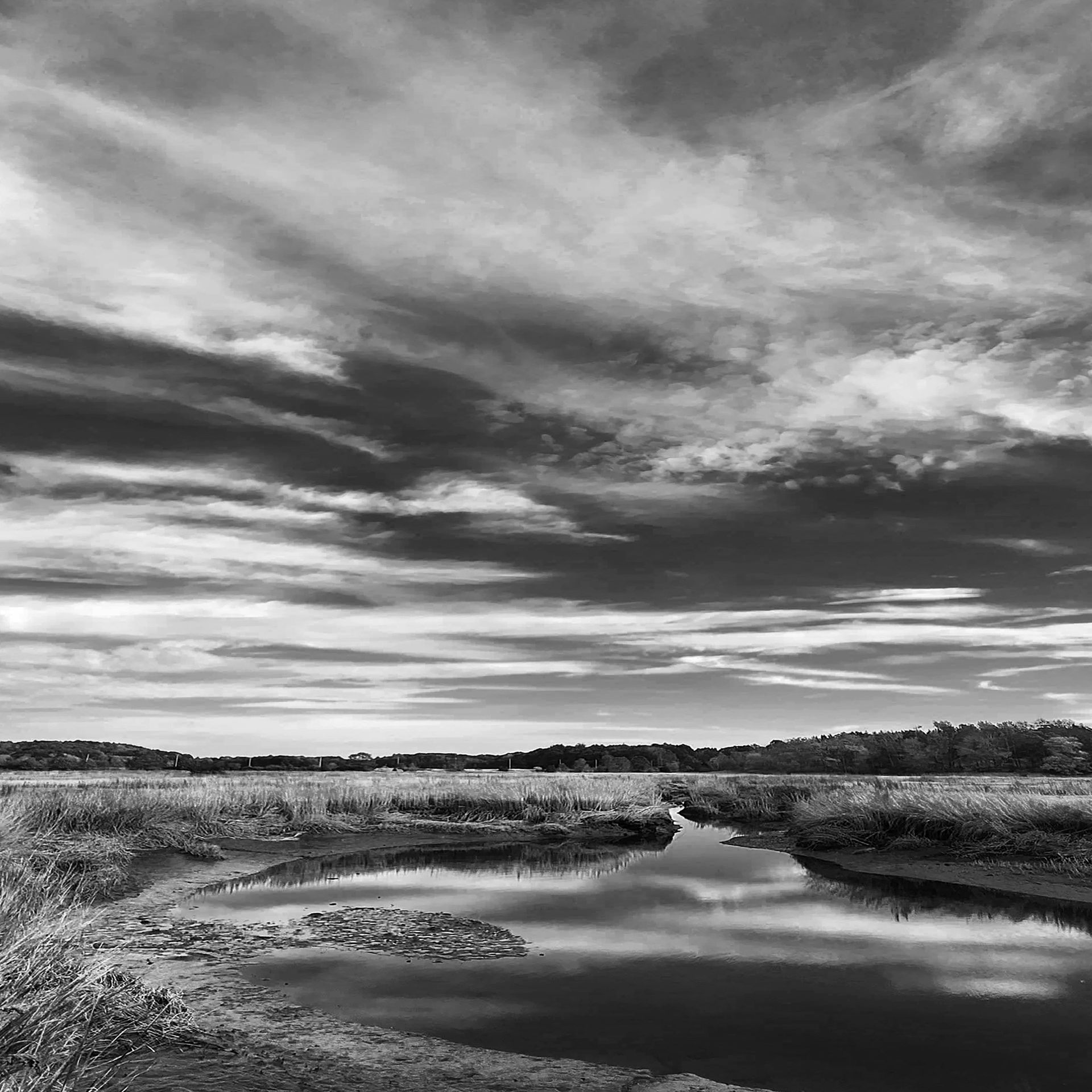 BW Photographs