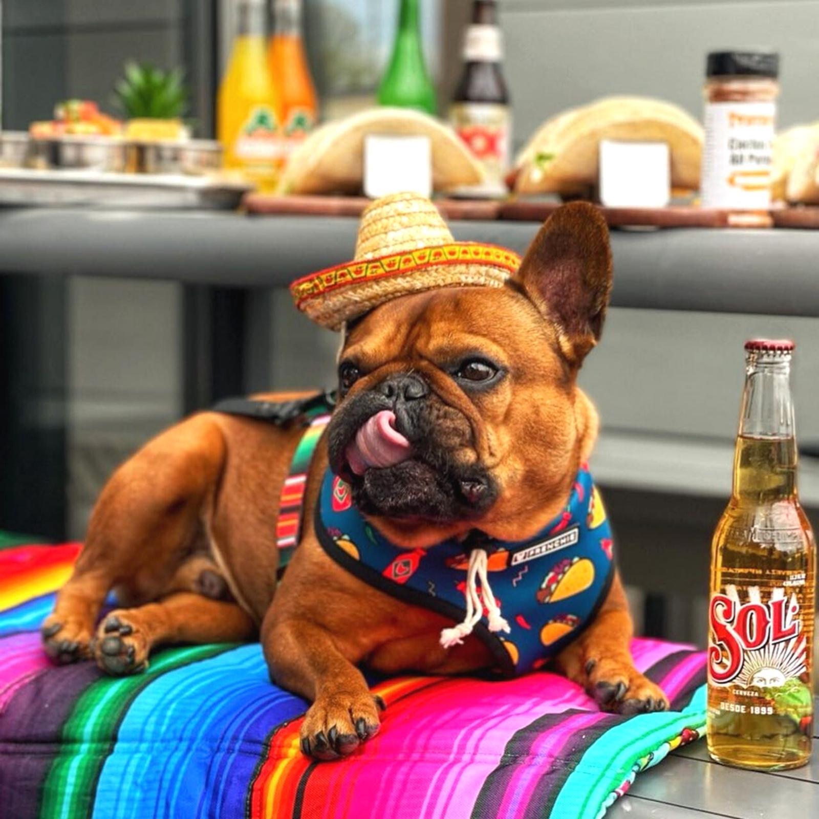 Marietta's Tex Mex Restaurant | Twisted Taco Express