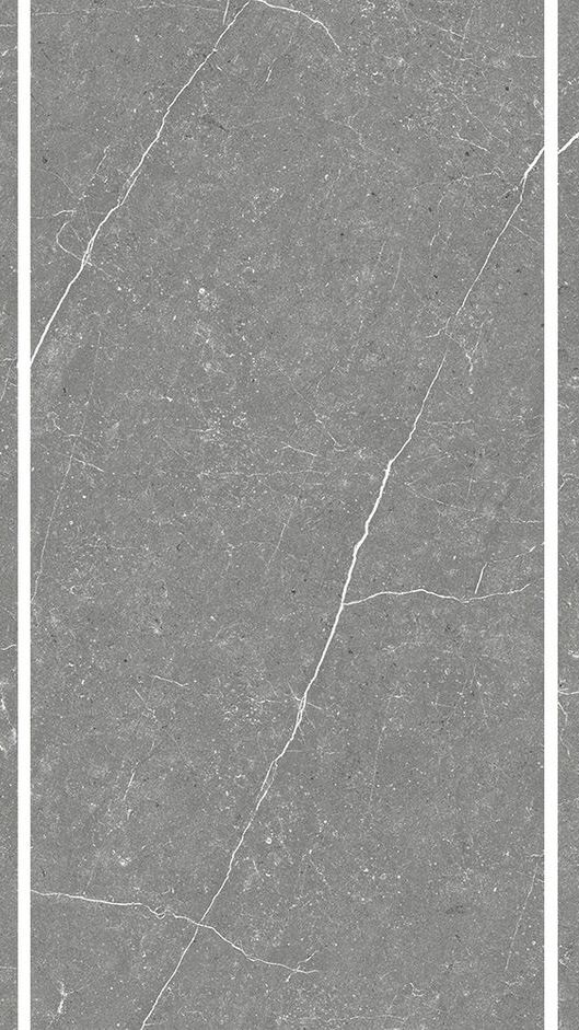 Explore Rayal's Durable 600x1200mm Tile Range