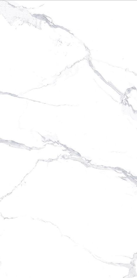 Explore Rayal's 600x1200mm Stoneware Tiles