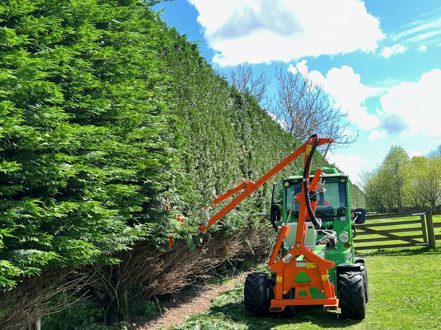 About | Waikato Hedge Trimming