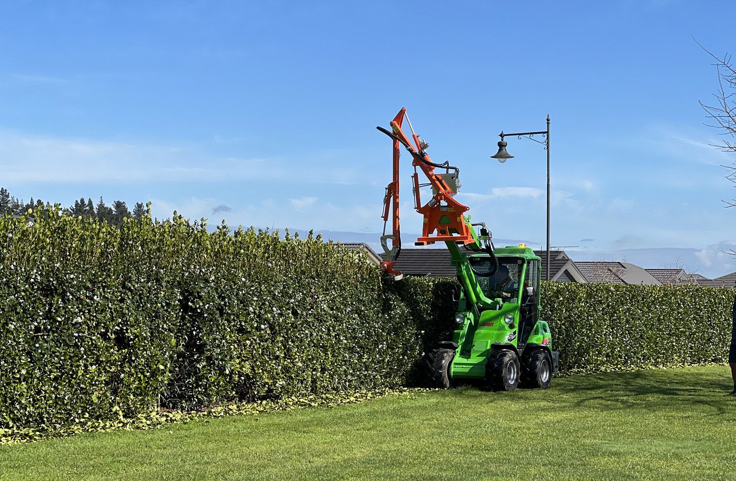 Top-Notch Hedge Trimming and Section Clearing | Waikato Hedge Trimming