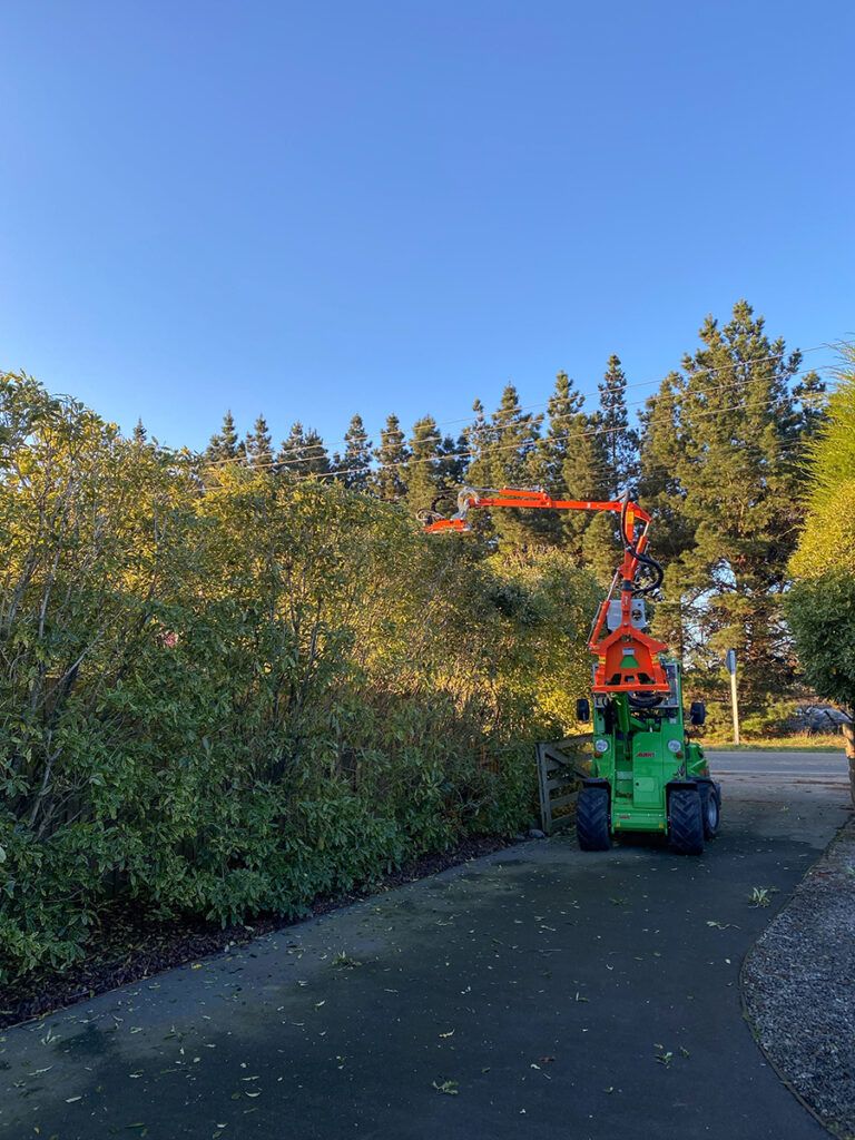 About Waikato Hedge Trimming