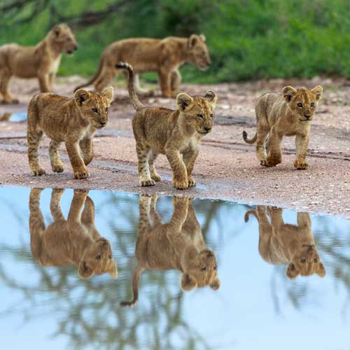 Akilanga DMC & Events