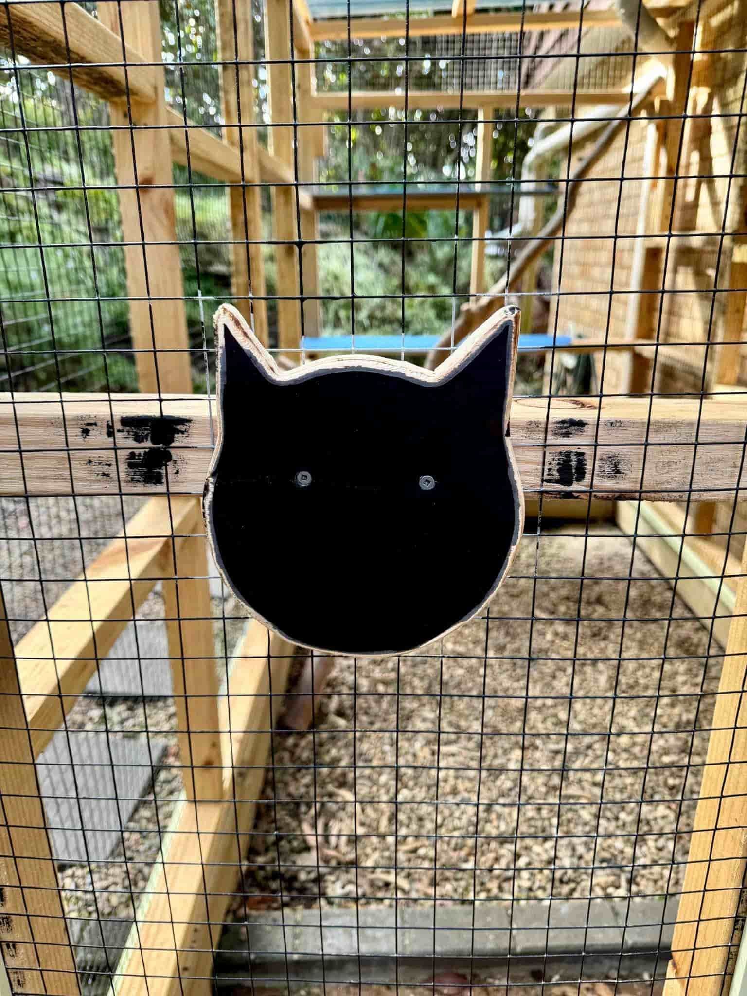 Catio in Illawarra | Illawarra Gardening Landscapes