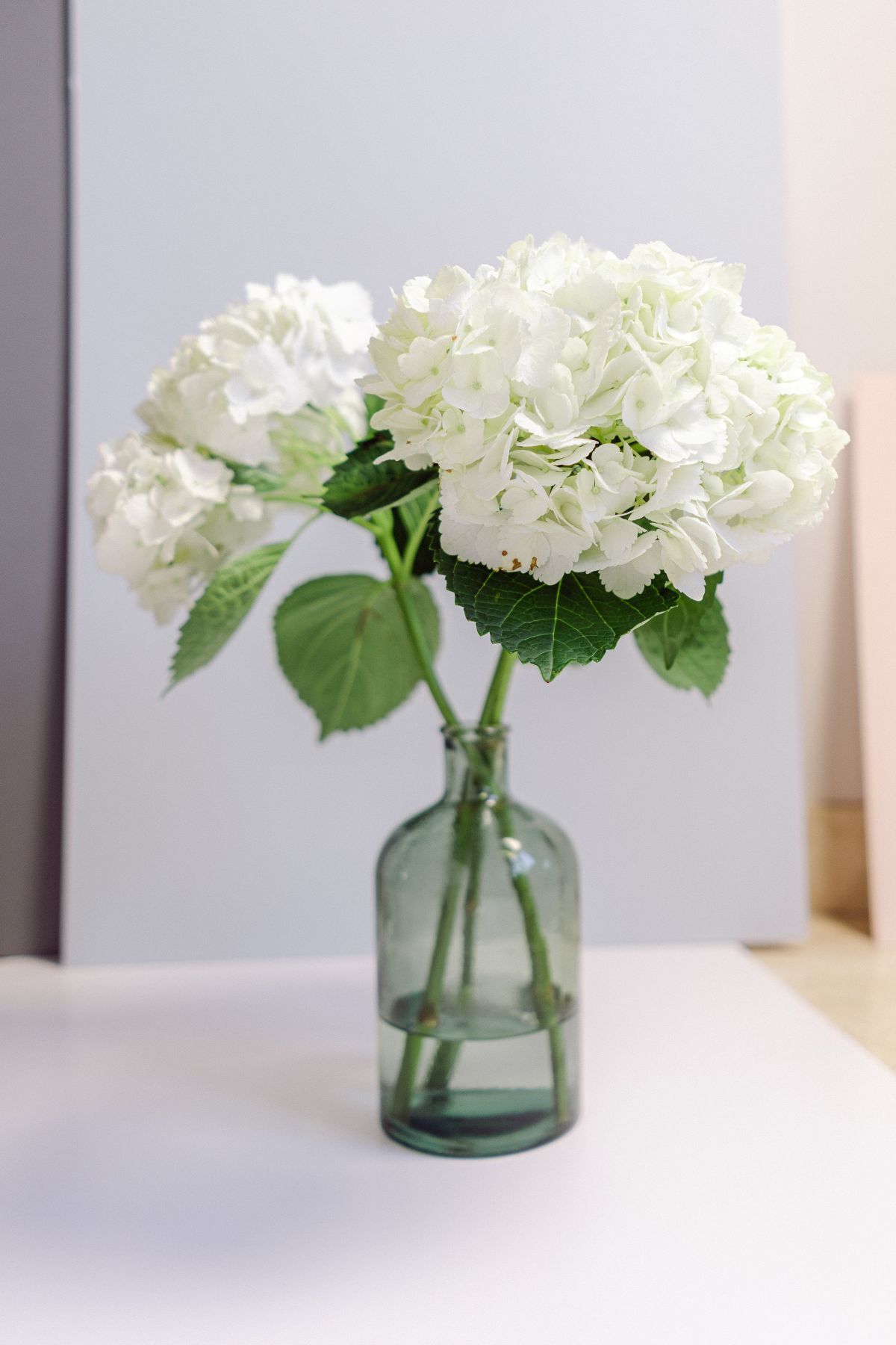 Funeral Home in Rochester, MN | Macken Funeral Home & Cremation