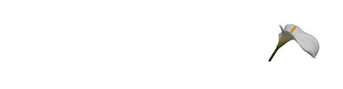 Funeral Home in Rochester, MN | Macken Funeral Home & Cremation