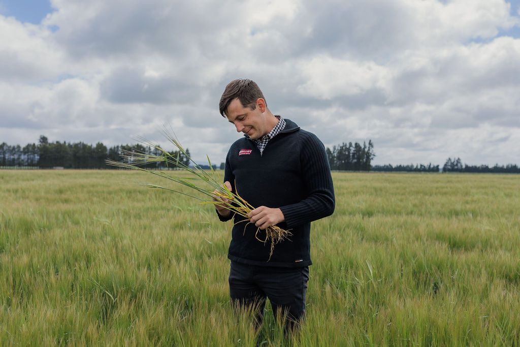 Molloy Agriculture | Agronomy