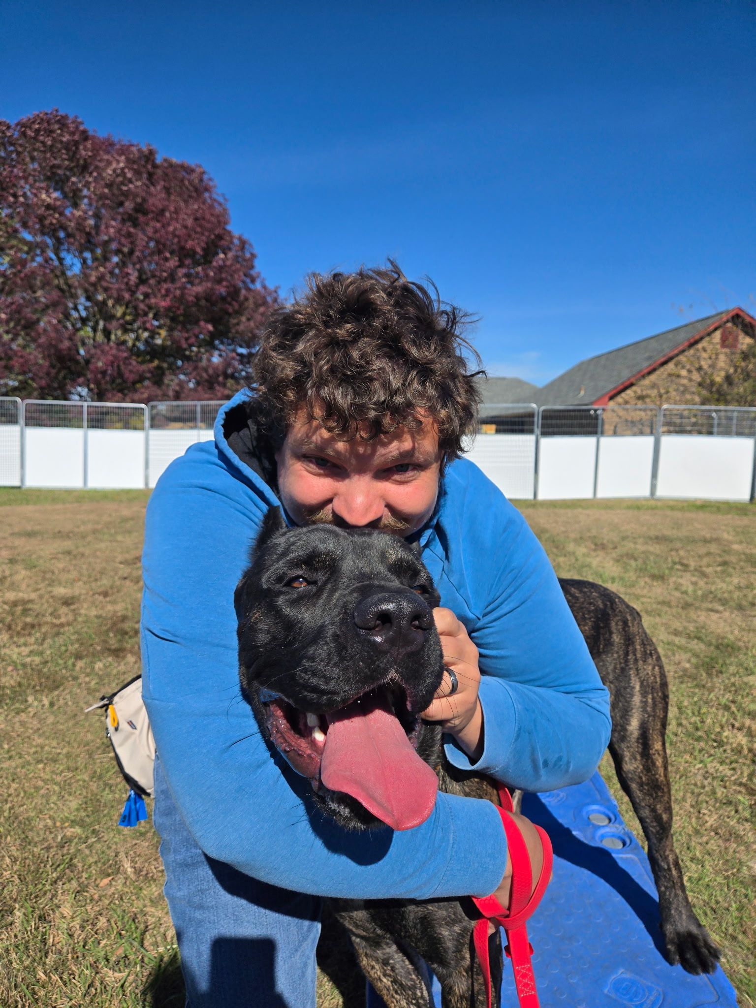 Top Rated DFW Dog Trainer | Dog Training