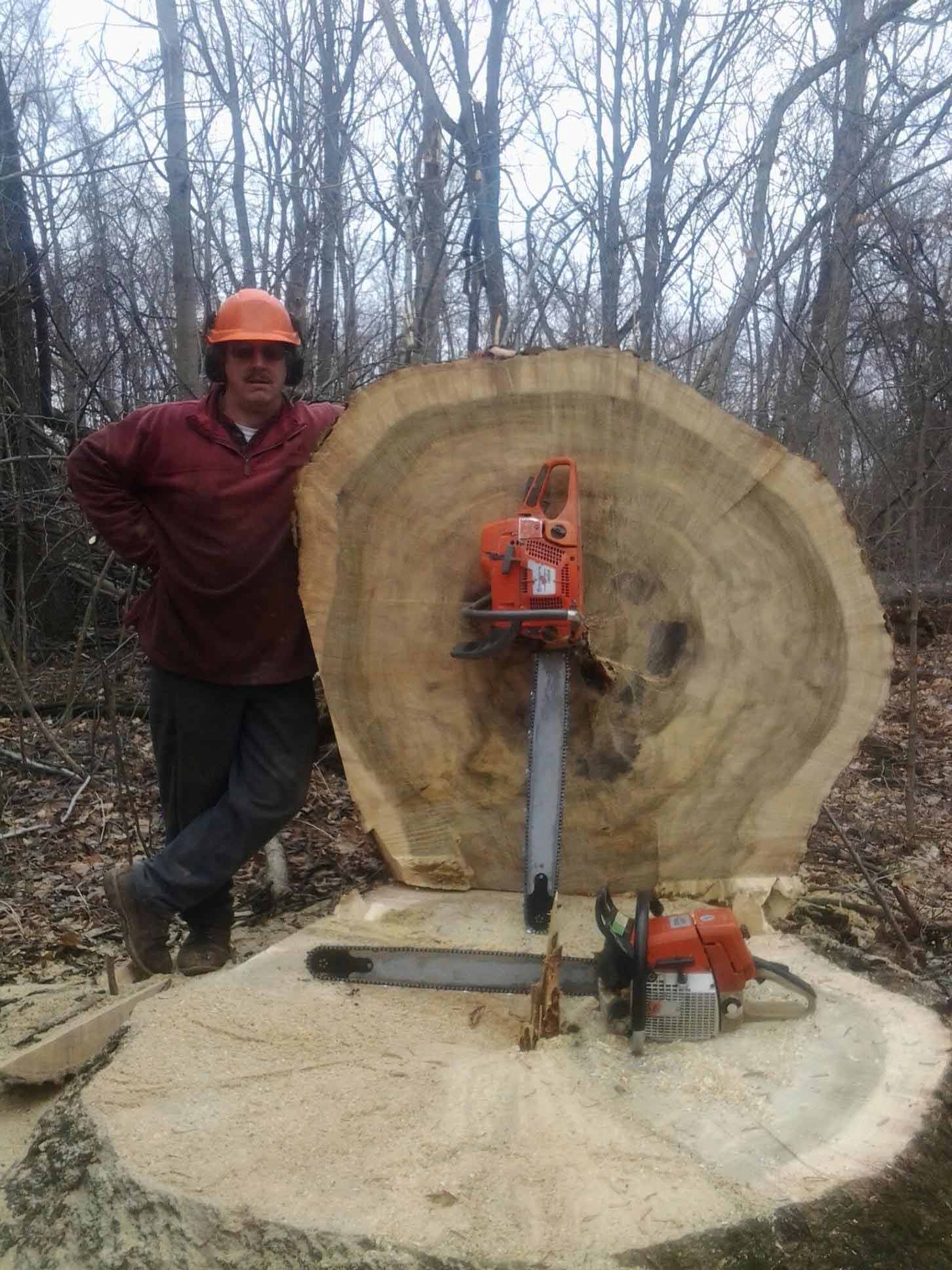 Timber Management - Shipshewana, IN - Michiana Timber Management