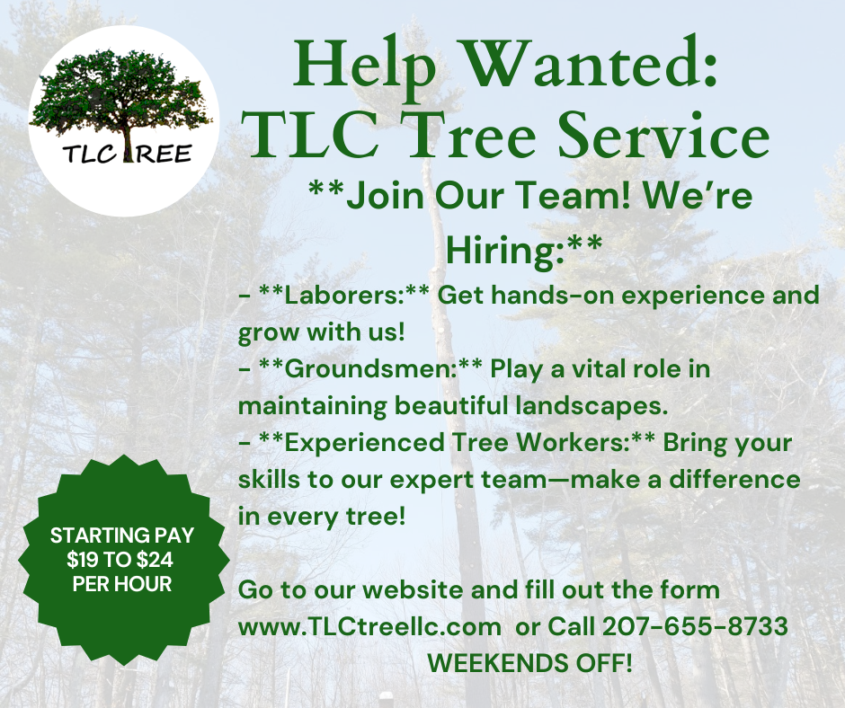 TLC Tree | Expert Tree Removal | Sebago Lakes Region