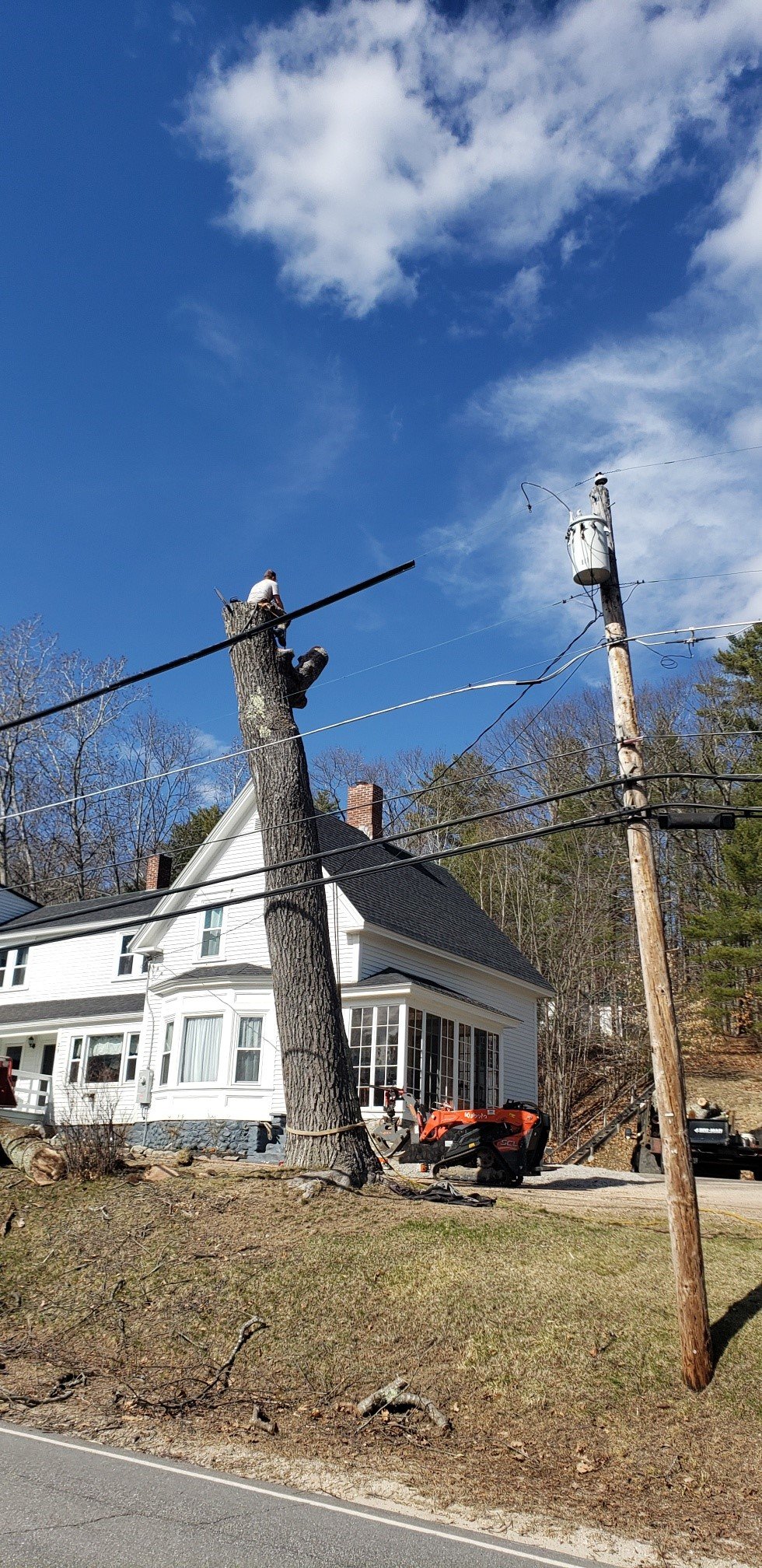 TLC Tree | Expert Tree Removal | Sebago Lakes Region