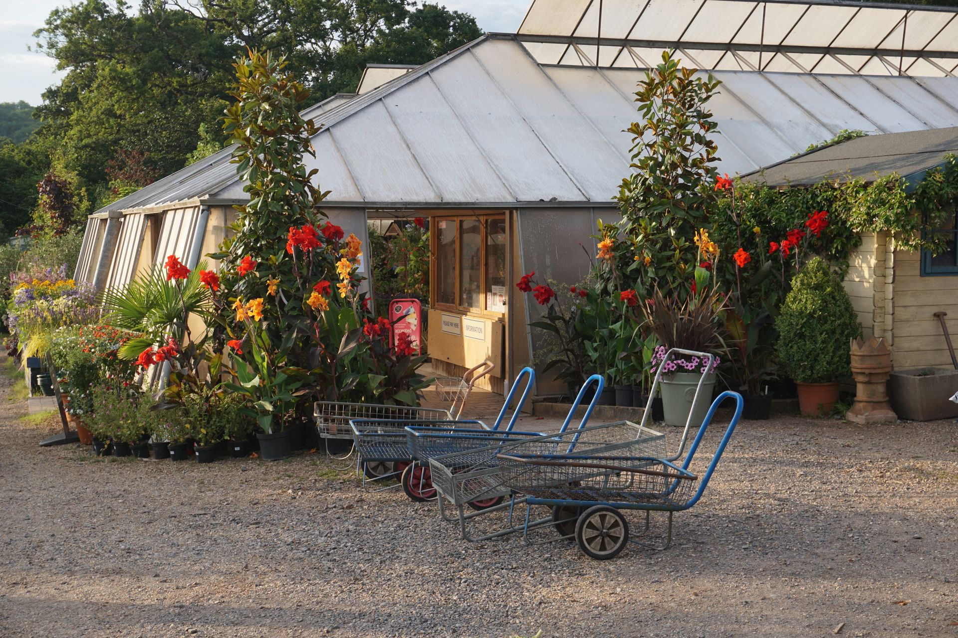 GALLERY | Middlecombe Nursery | North Somerset