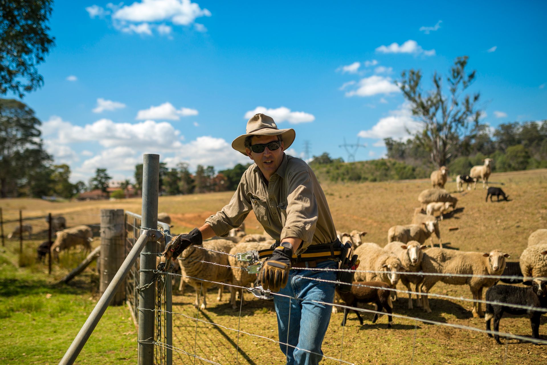 Rural and Agriculture Fencing Canberra | Tymlock Fencing