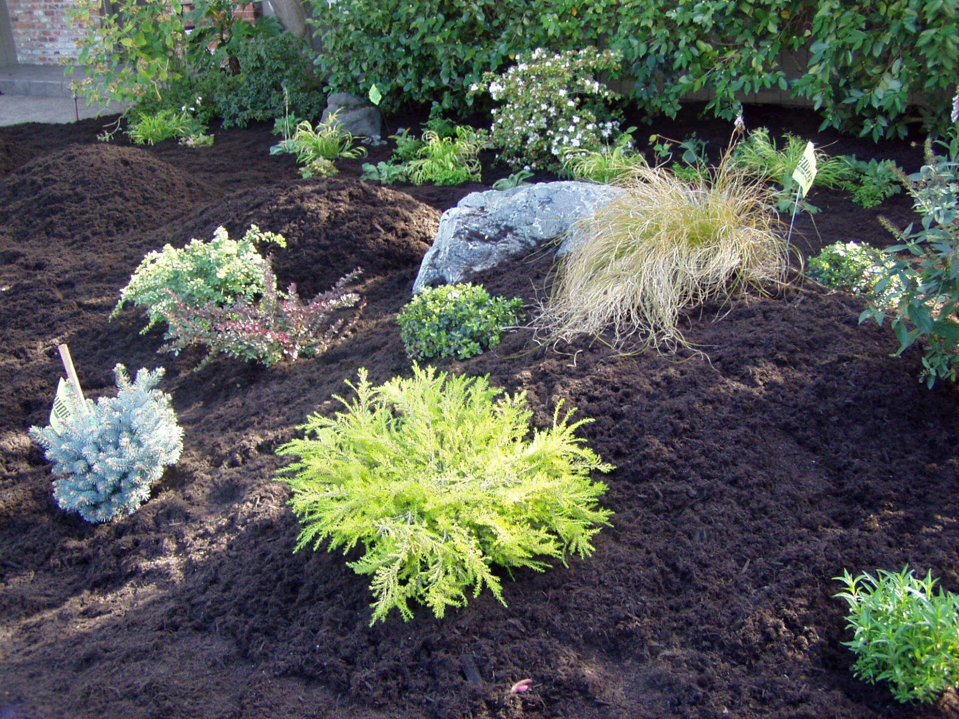 Soil and Amendments – Martinez, CA