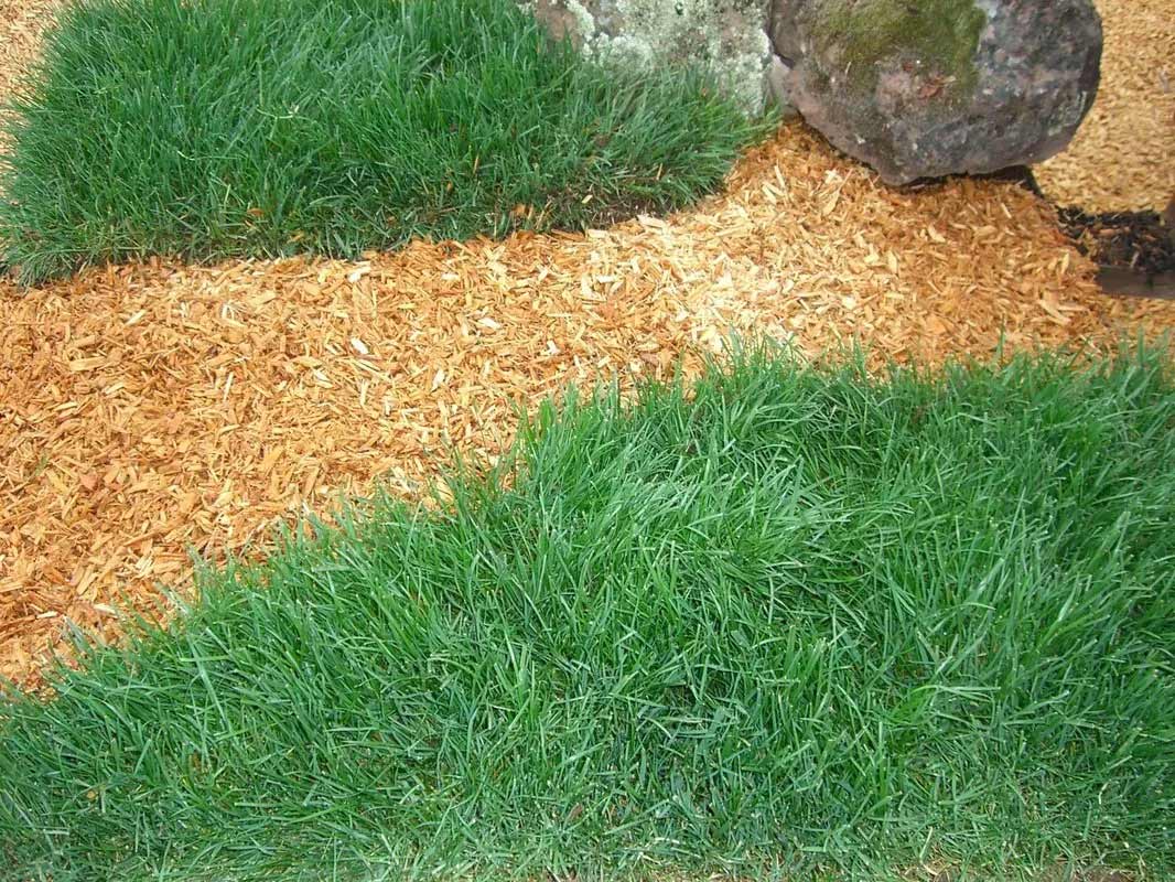 Bark and Mulch – Martinez, CA