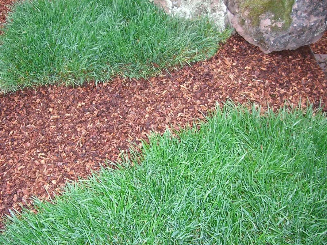 Bark and Mulch – Martinez, CA