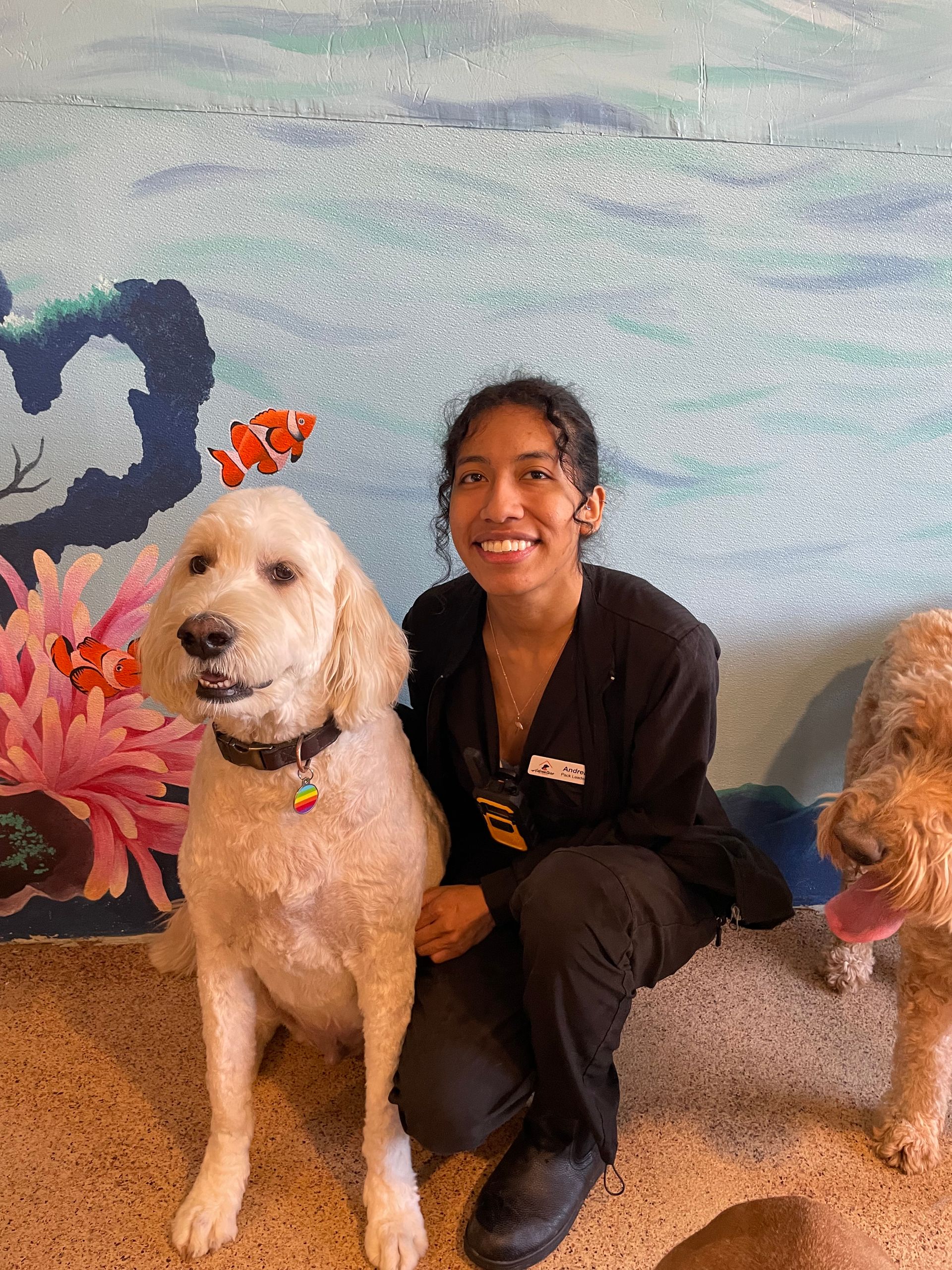 Adventure Pet Resort