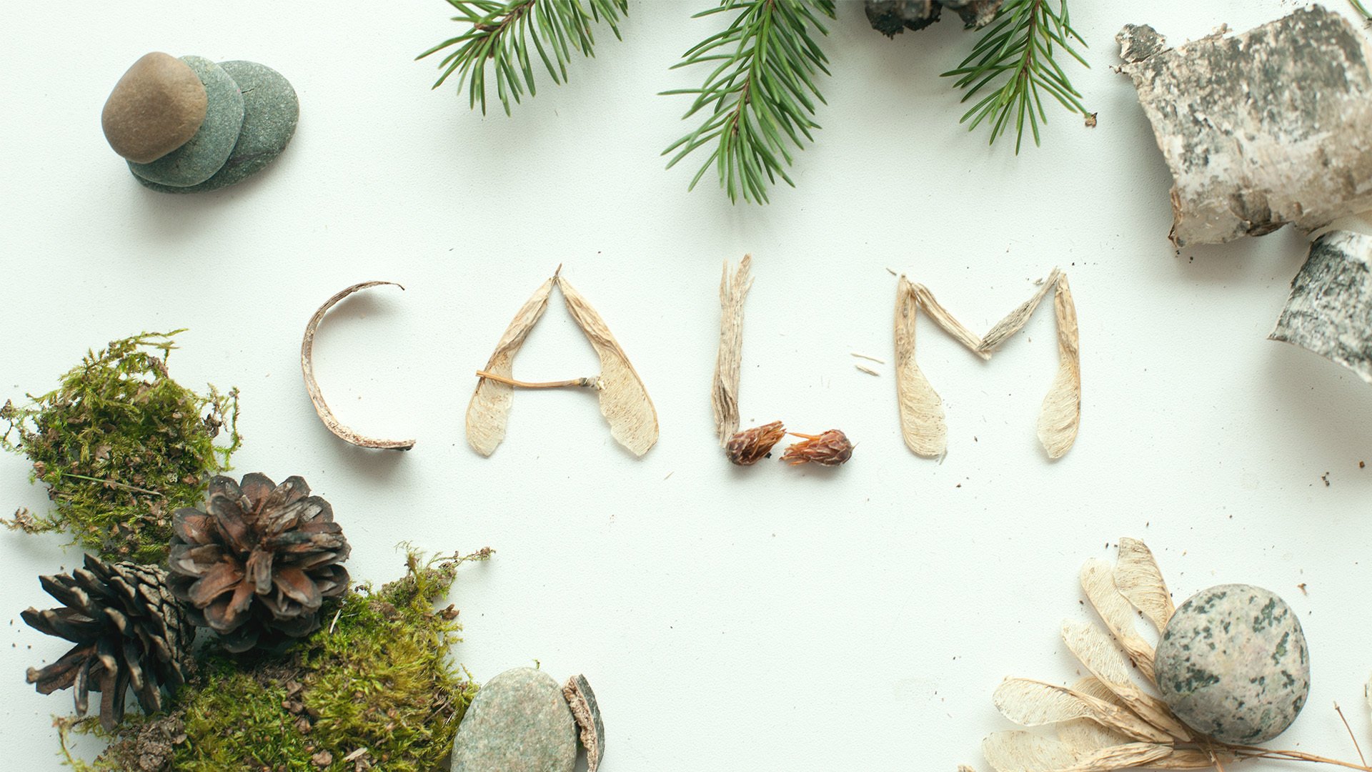 Yoga Therapy & Classes, West Sussex | Calming Tree