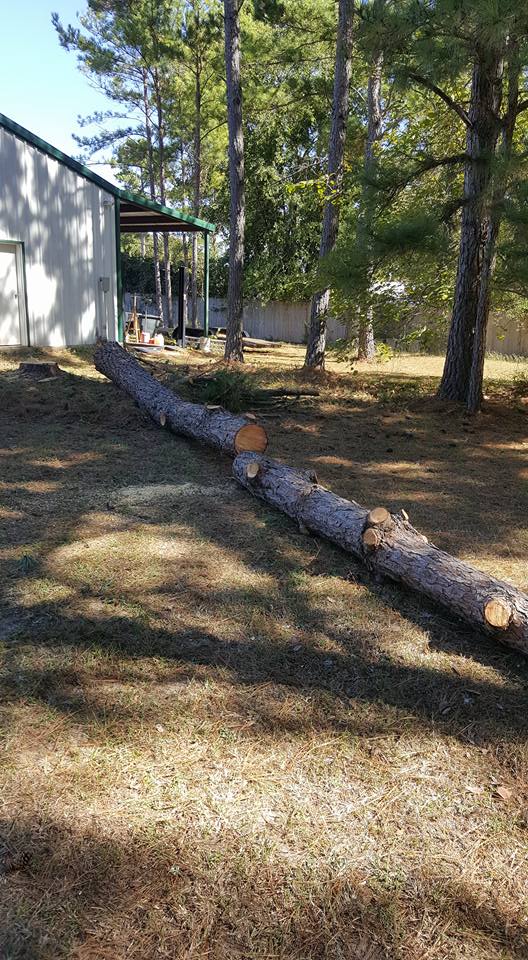 Tree Removal Services | J and J Custom Tree Service