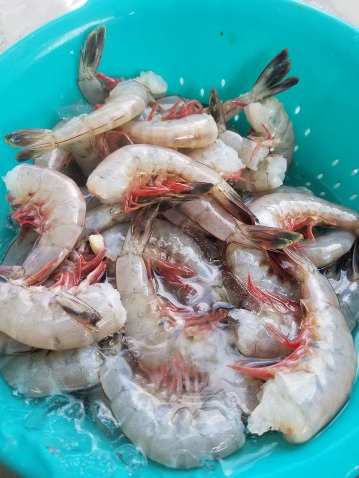 Our Fresh Seafood Selection