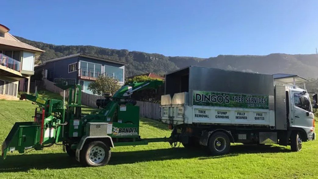 Dingo’s Tree Service | Tree Services in Wollongong