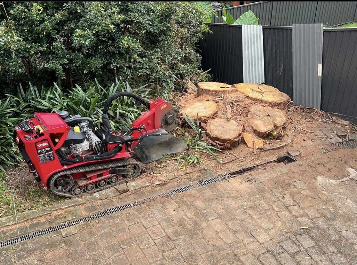Dingo’s Tree Service | Tree Services in Wollongong