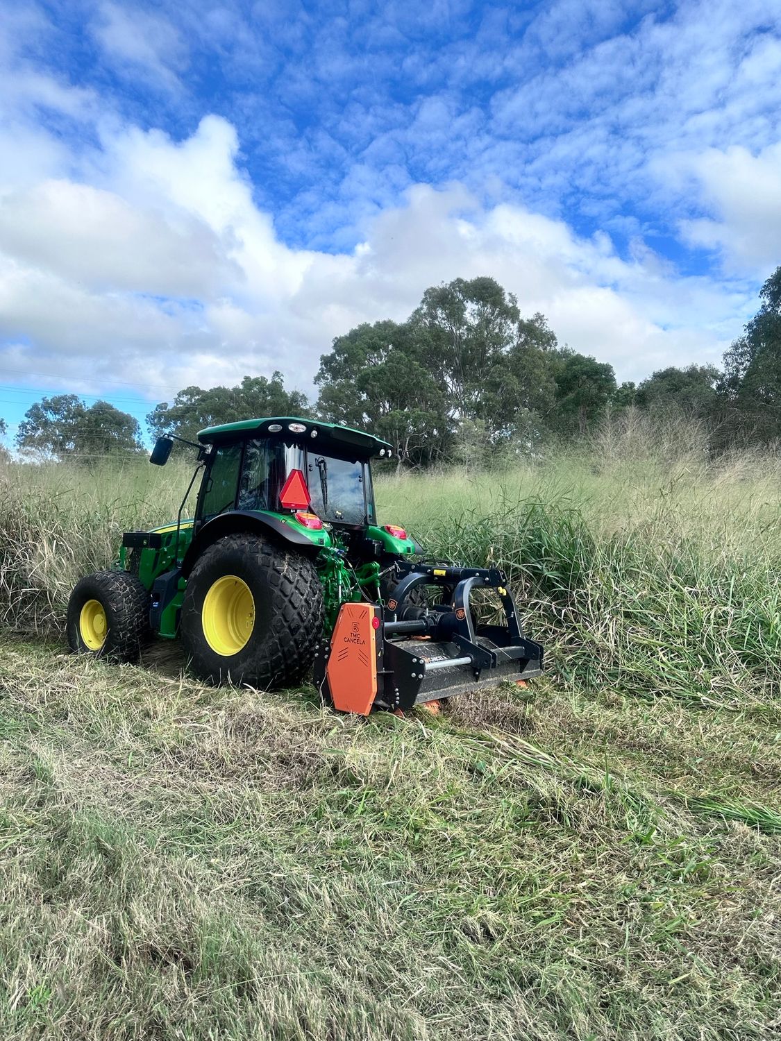 Land Clearing Sunshine Coast | Branch Manager Tree Services