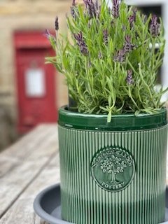 The Edensor Tea Cottage