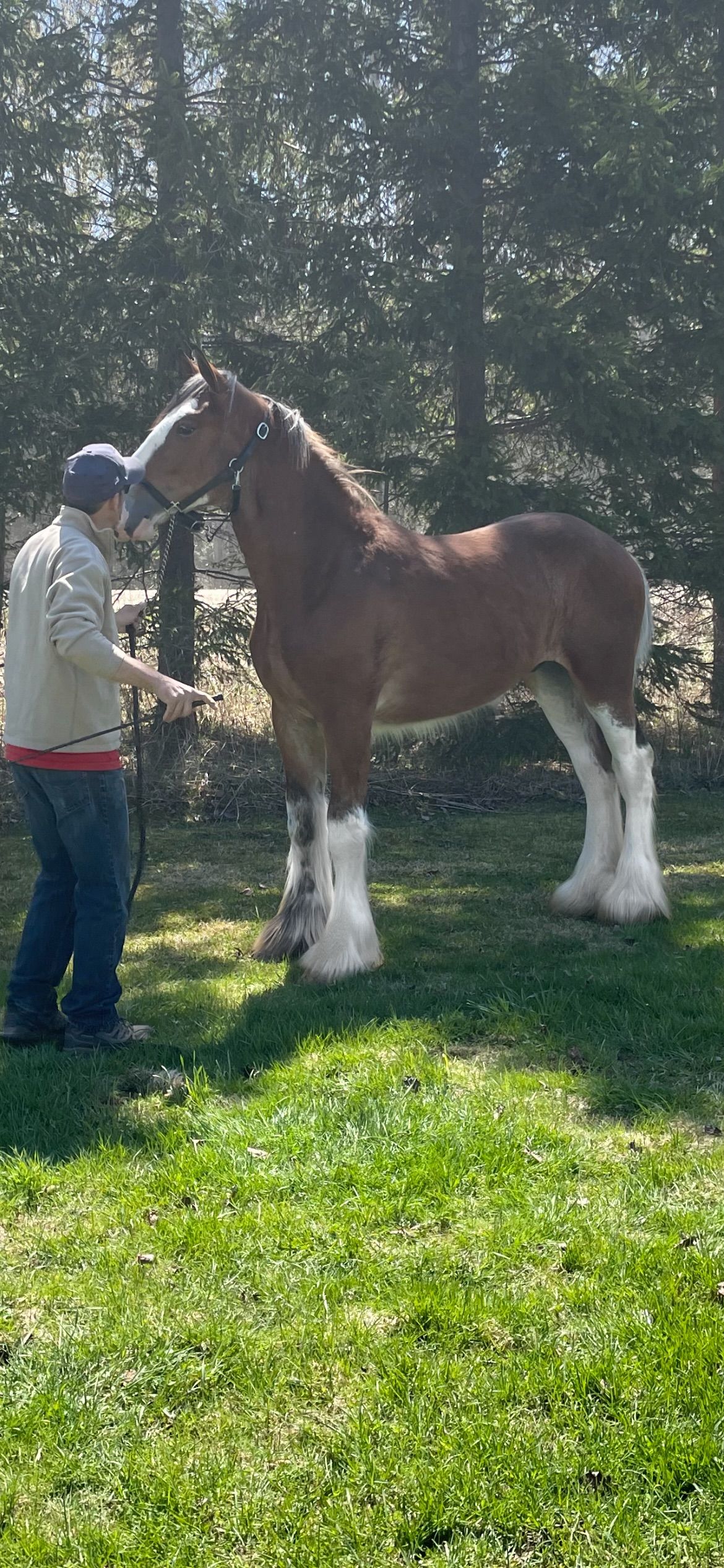 Trelane's Smokin Aces