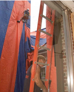 Expert Termite Control Services | Sarasota, FL | Pestguard