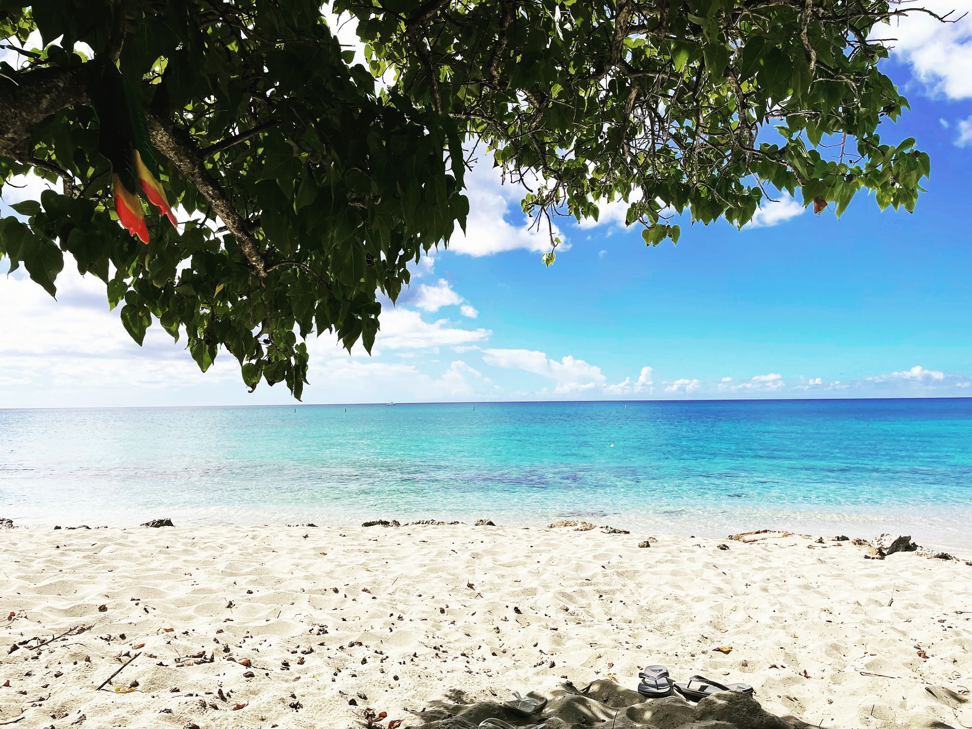 What to do & where to stay in St. Croix
