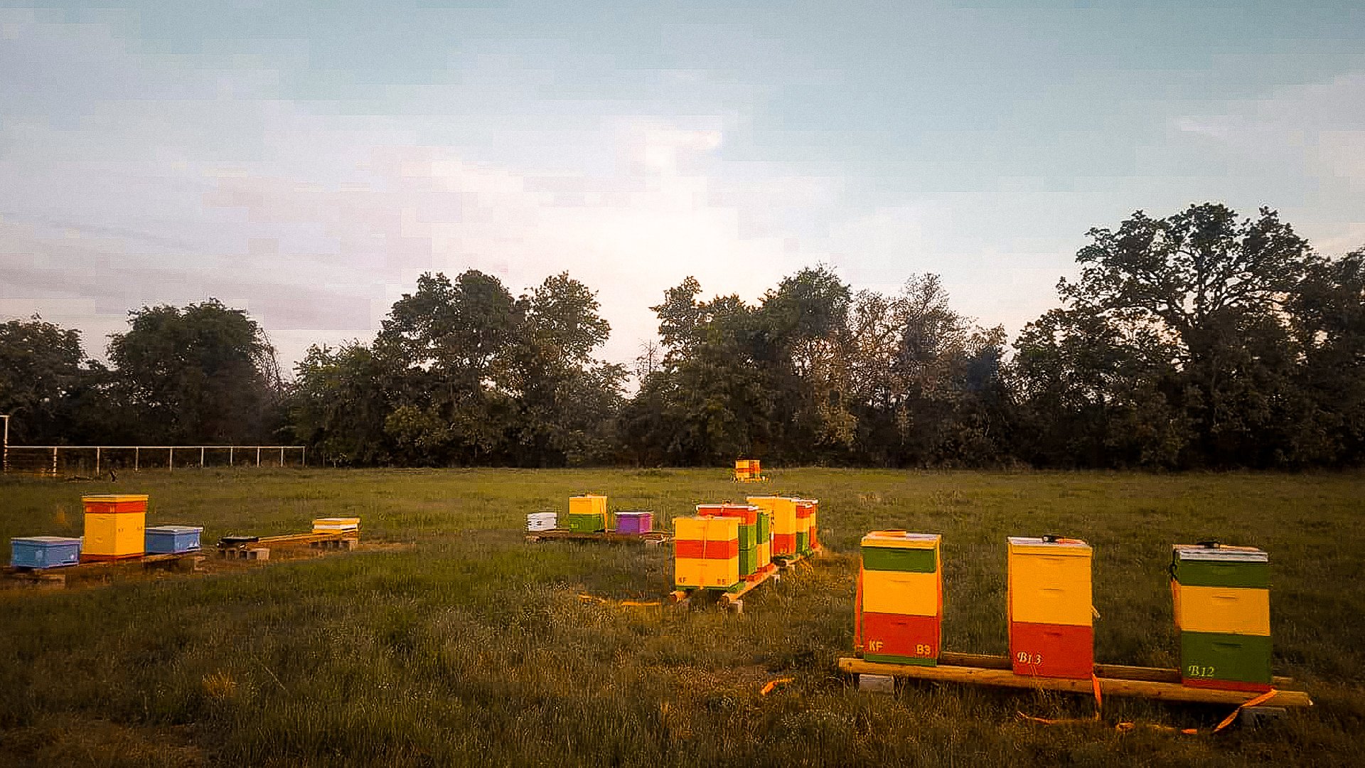 Our Story | Honey Apple Farm - Ben Wheeler, TX