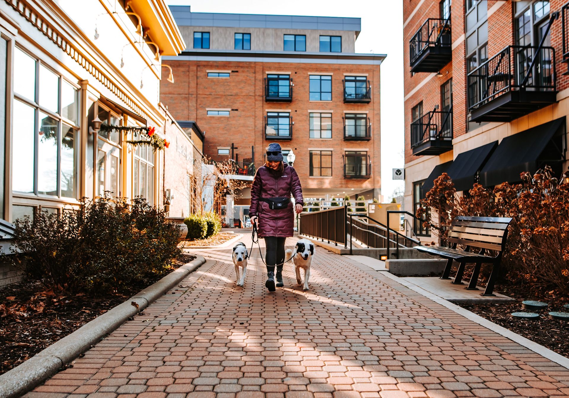 Meet the Trainer | Concord, NH | Capital City Canines