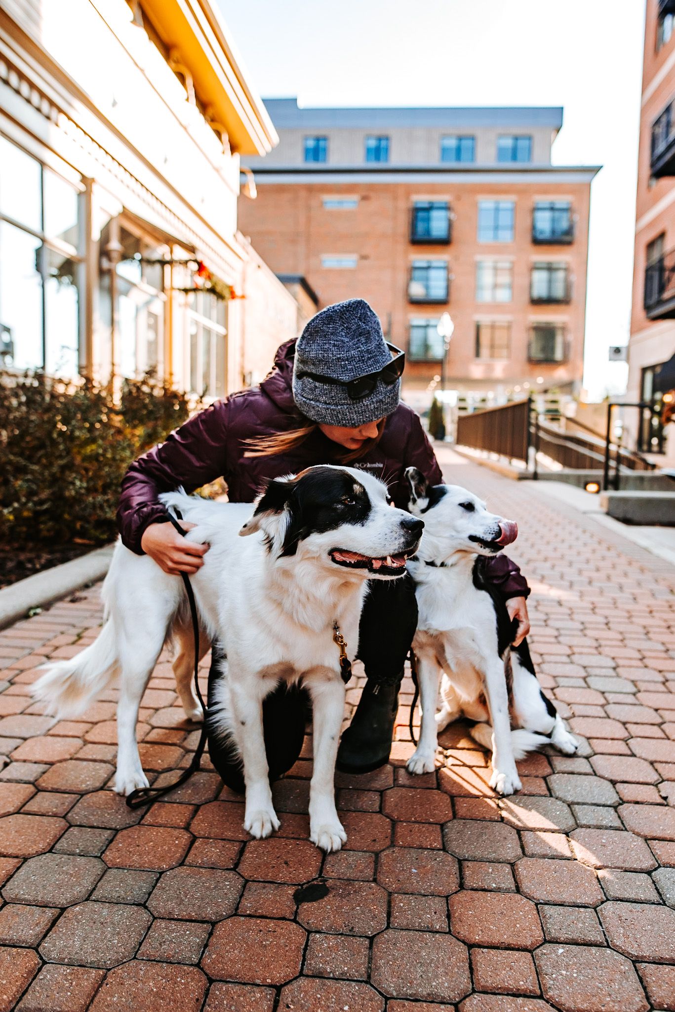 Meet the Trainer | Concord, NH | Capital City Canines
