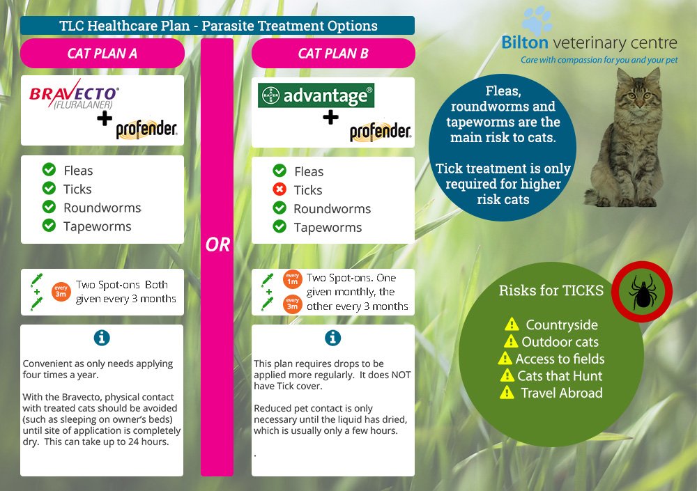 The TLC Club Pet Health Discount Scheme | Bilton Vets