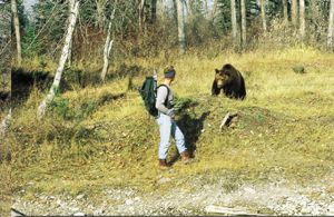 Hiking in Bear Country | Bear Safety Tips
