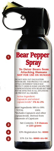 Hiking in Bear Country | Bear Safety Tips