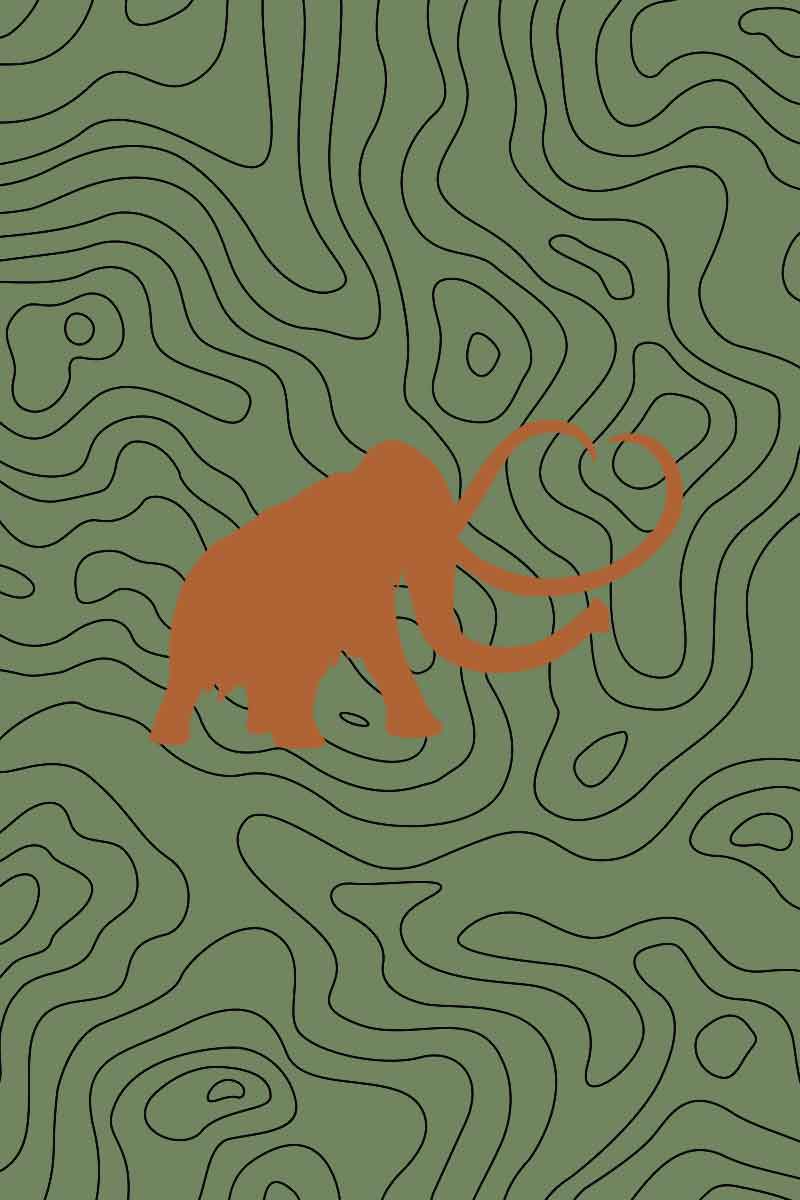 gravel event, gravel riding, adventure cycling, off-road cycling, mammoth lakes gravel riding ...