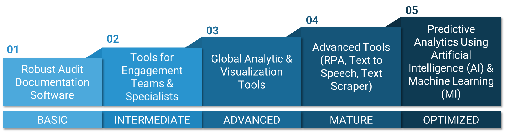 Software Audit Tools: Designing and Implementing the Control Environment