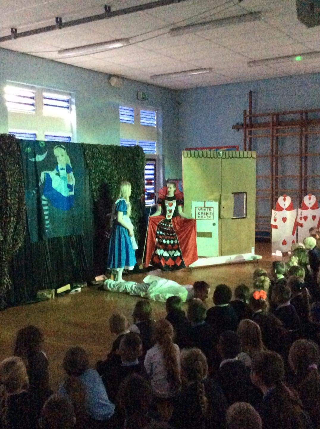 Primary School Shows & Workshops