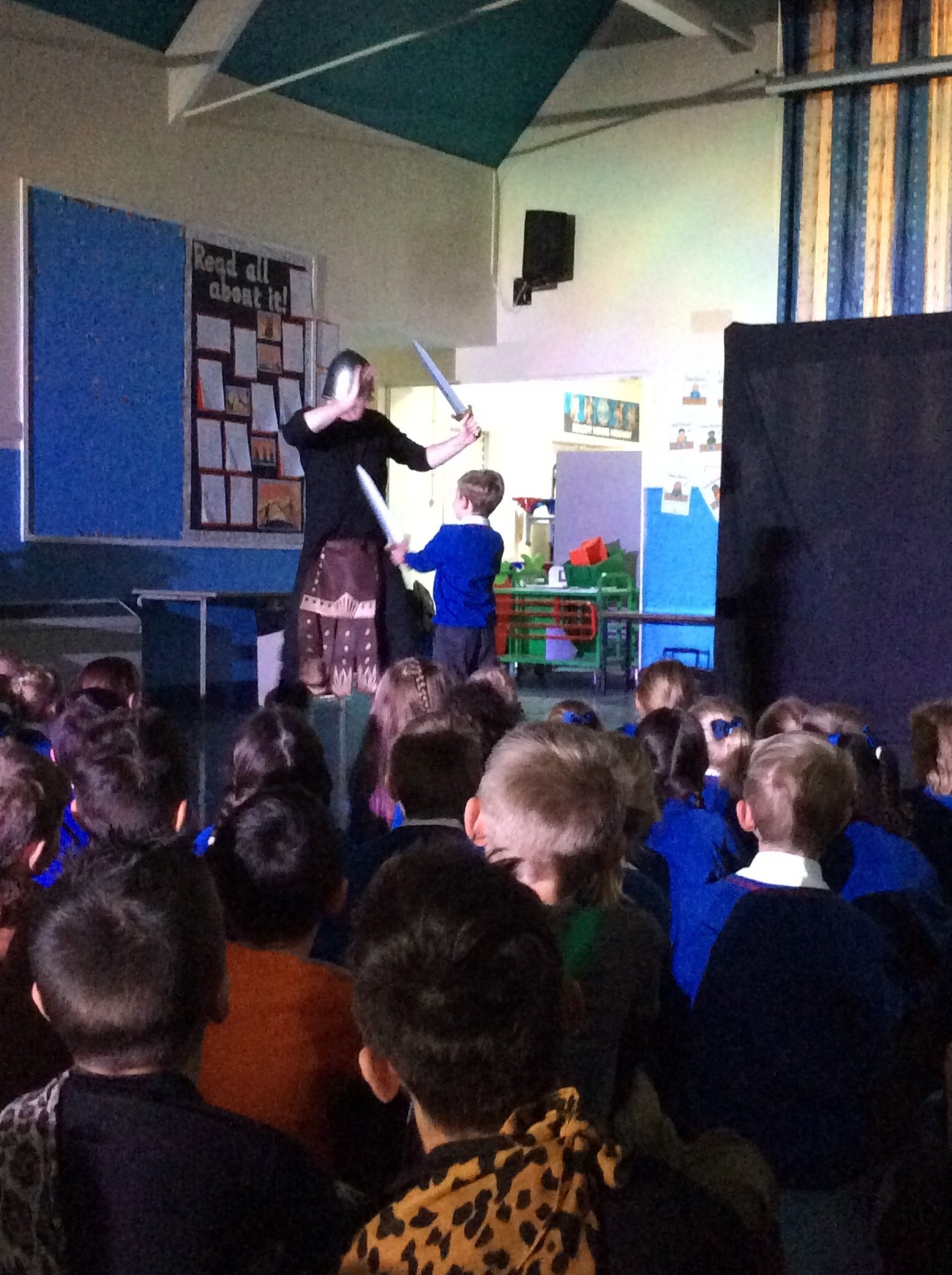 Primary School Shows & Workshops