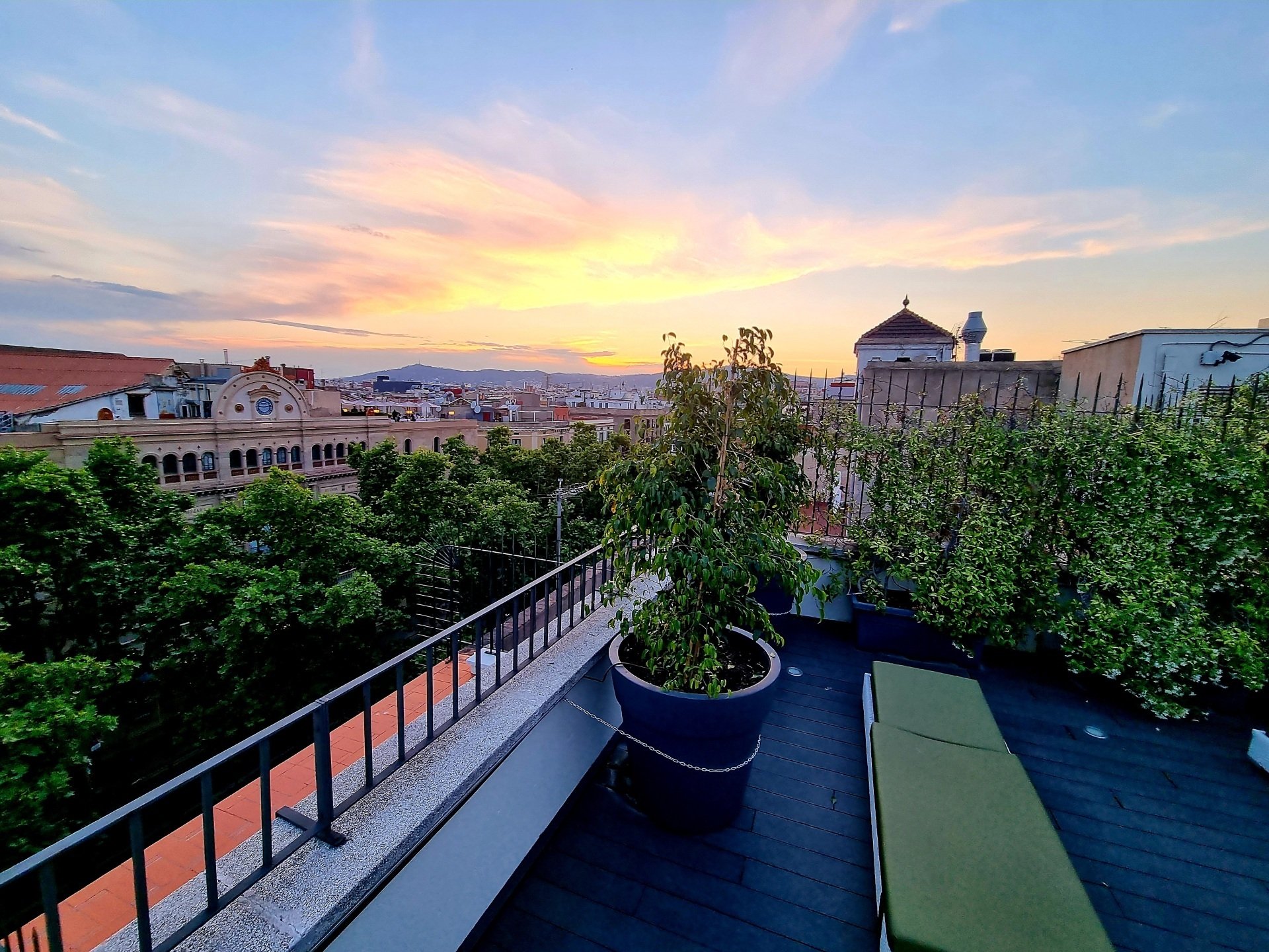 Gallery | | Hotel Flor Parks | La Rambla, Barcelona.
