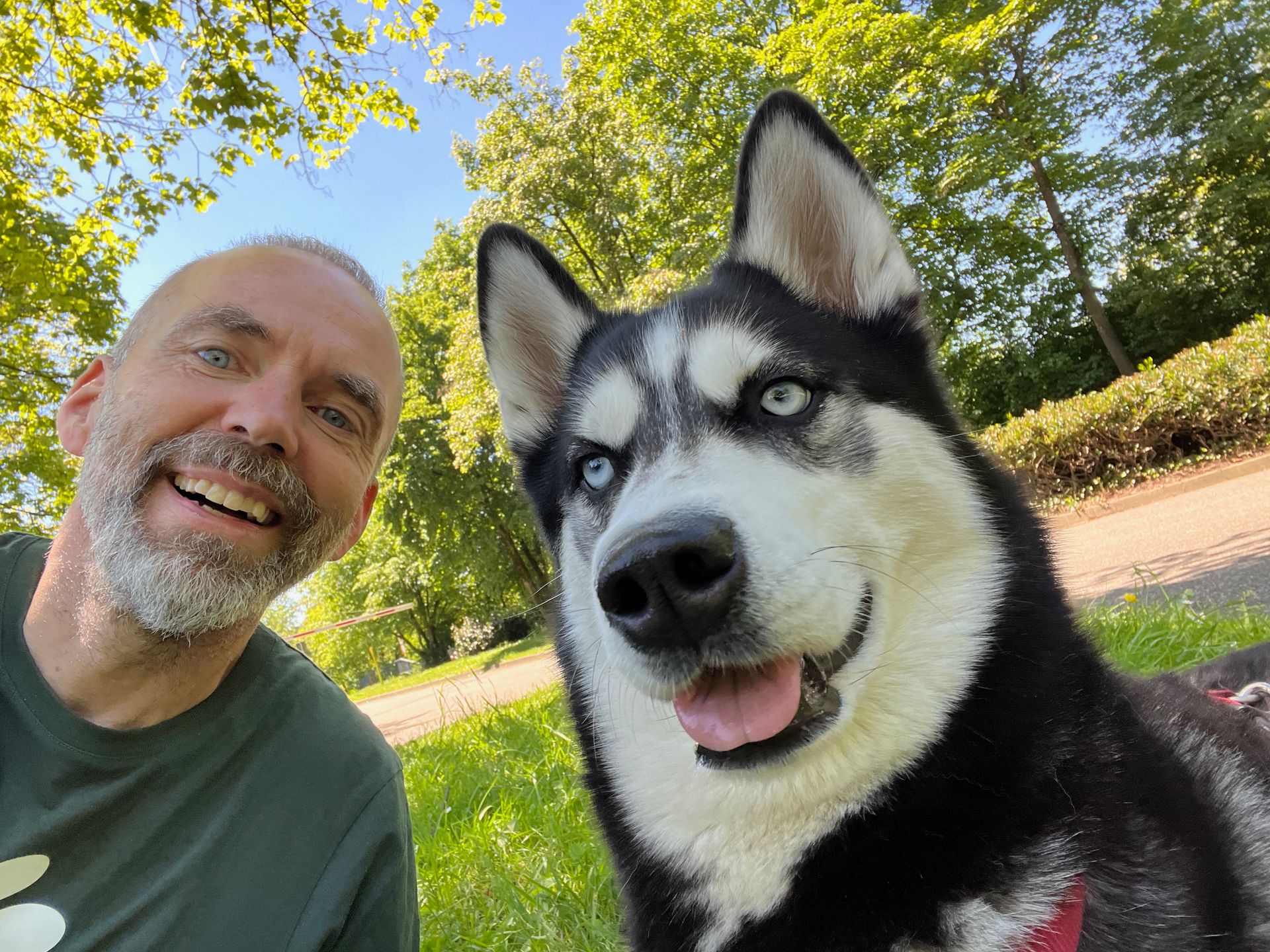 Hundepsychologe