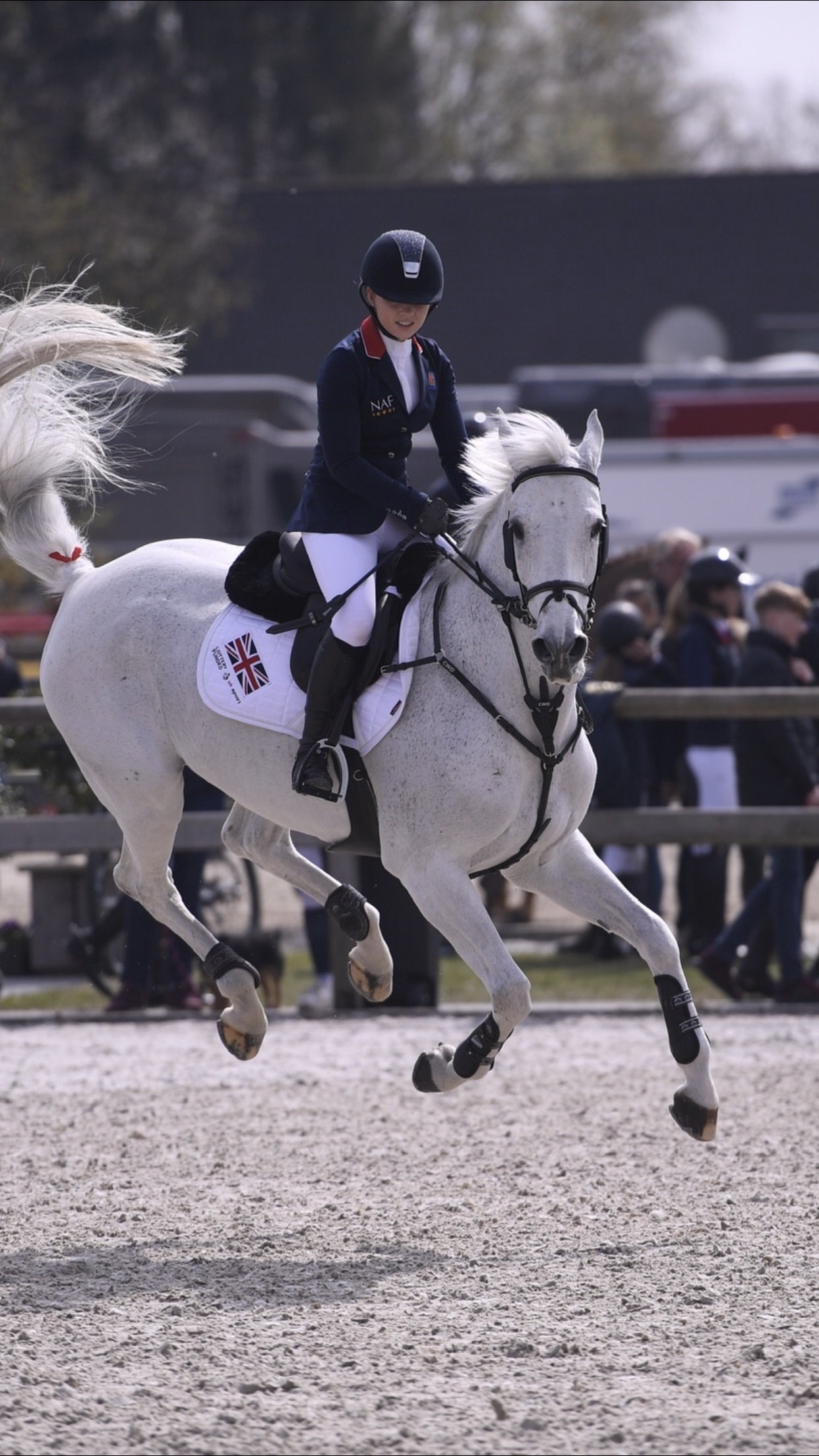 The Team & Gallery | Show Jumping Athlete | Alena Hughes