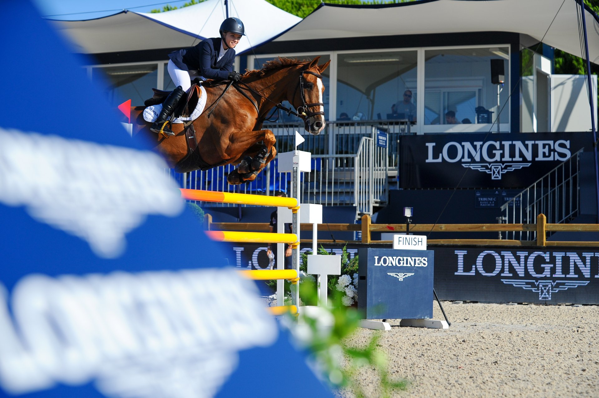 The Team & Gallery | Show Jumping Athlete | Alena Hughes