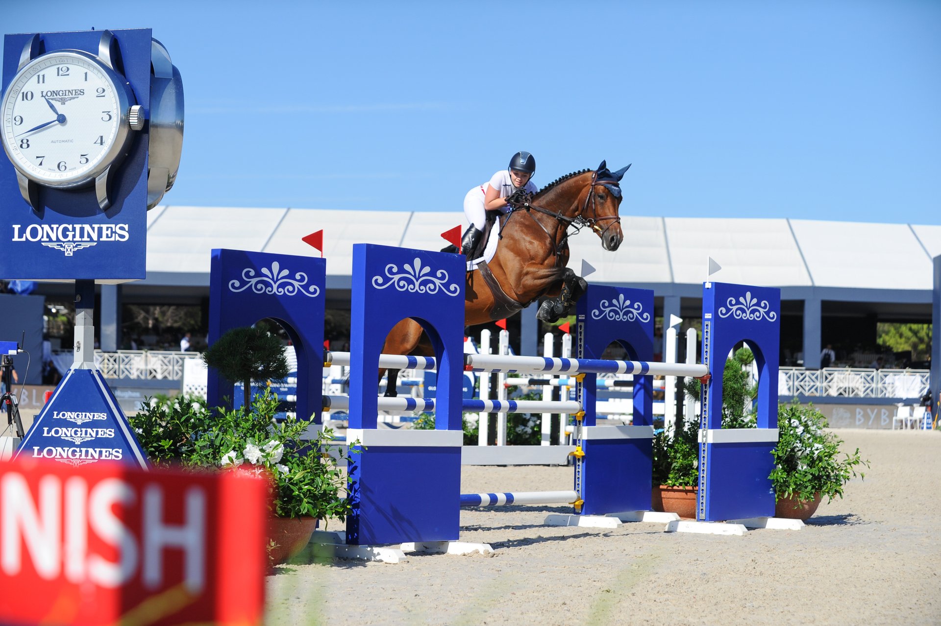 The Team & Gallery | Show Jumping Athlete | Alena Hughes